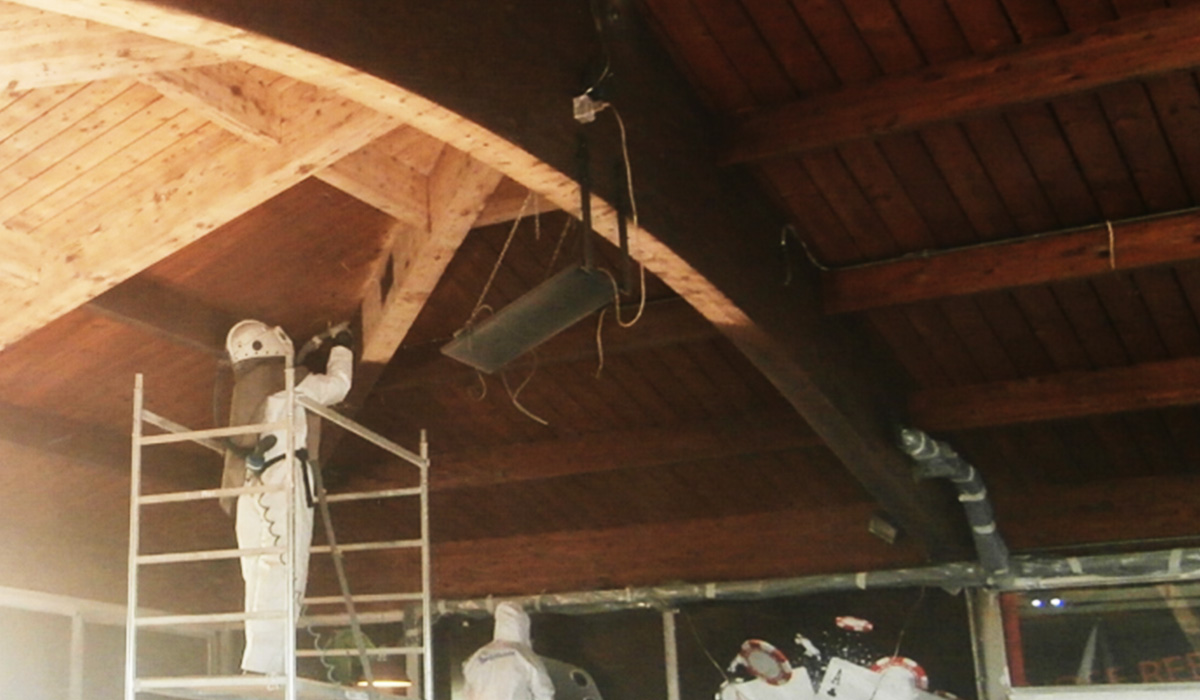 Damage Restoration – IBIX Conservation Technologies