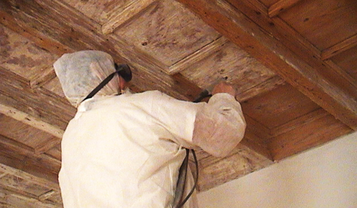 Wood Applications – IBIX Conservation Technologies